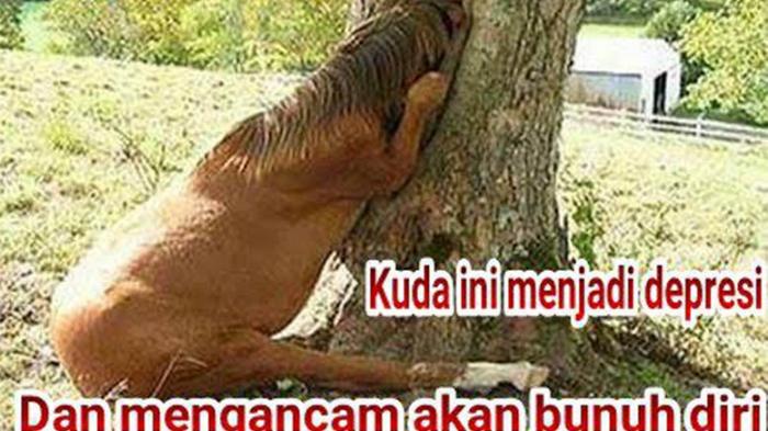 NGAKAK Lihat Kumpulan Meme Lebaran Kuda Ini - Tribunjateng.com