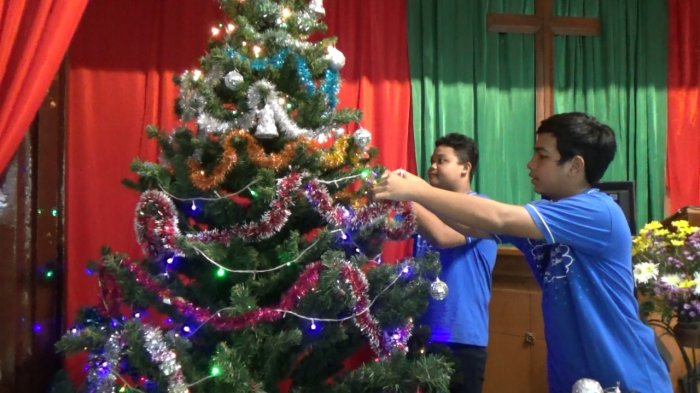 Sejarah Pohon Natal yang Tak Banyak Diketahui, Berasal dari Jerman ...