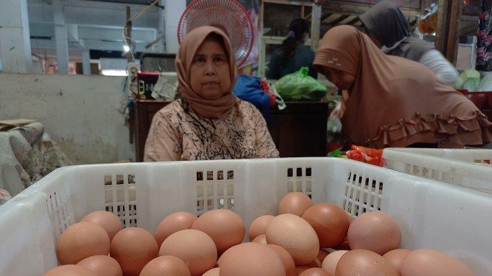 Harga Telur Ayam di Kudus Tembus Rp 32 Ribu per Kilogram - Tribunjateng.com