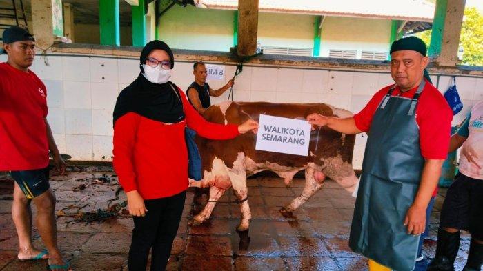 "1.000 Paket Daging Kurban Kami Bagikan" PDIP Kota Semarang Tahun Ini ...