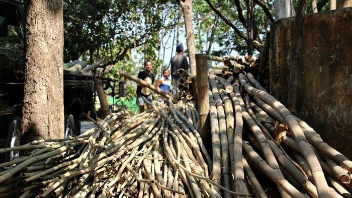 Muslam Pedagang Bambu Umbul-umbul di Blora Mulai Kebanjiran Pesanan ...