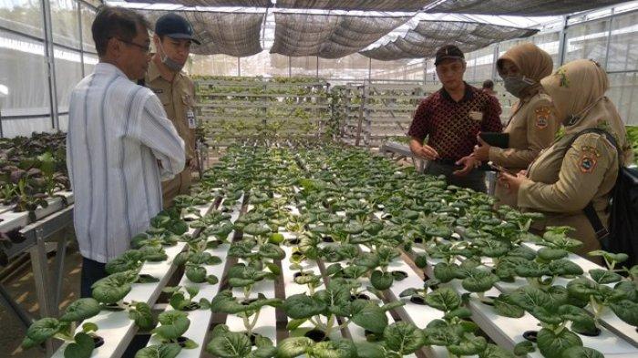 Obyek Wisata Ndayu Park Kabupaten Sragen Akan Jadi Agrowisata ...