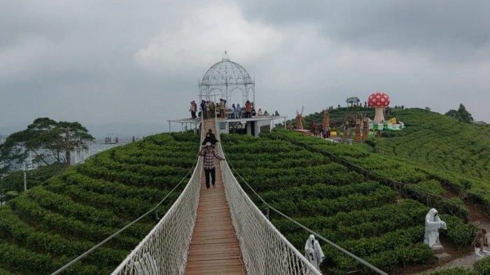 45 Menit dari Karanganyar Ada Kemuning Sky View, Nikmati Hijau Kebun ...