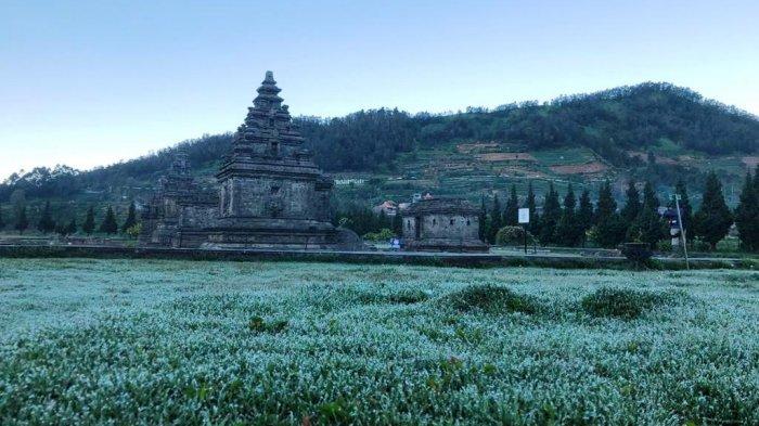 Muncul Embun Es Suhu Udara di Dieng Minus 1,35 Derajat Celcius Pagi ...