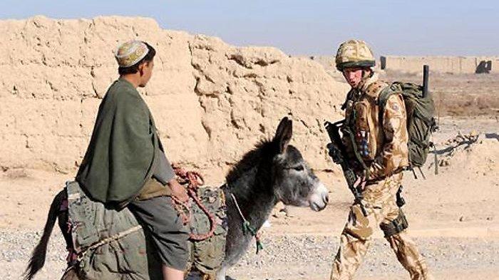 Pernah 2 Kali Ditugaskan Ke Afghanistan, Kini Pangeran Harry Bersuara Soal Taliban ...