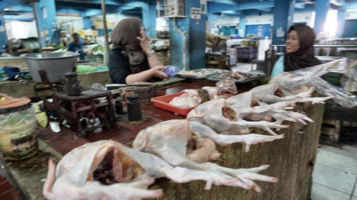 Harga Daging Ayam di Kota Semarang Jelang Natal dan Tahun Baru Naik, Ini Daftarnya ...