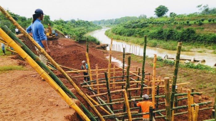 Rangkaian Trucuk Bambu Jadi Opsi Sementara Cegah Banjir Sungai Bodri ...