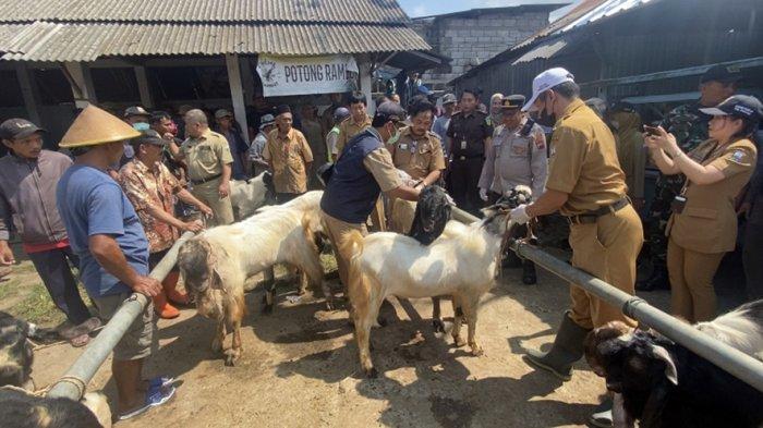 Warga Bisa Lebih Tenang Hadapi Iduladha 2023, Pemkab Semarang Klaim Tak Ada Kasus PMK dan LSD ...