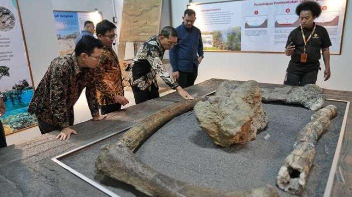 Telusuri Jejak Manusia Purba di Sangiran, Menteri Kebudayaan Ungkap ...