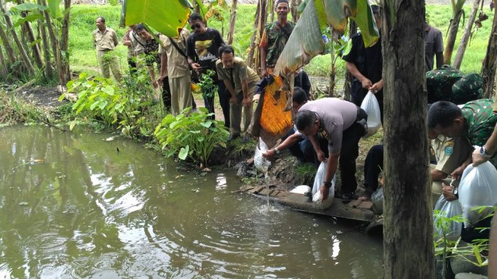 Dilarang Tangkap Ikan Pakai Bahan Kimia dan Alat Setrum, Ini Ancaman ...