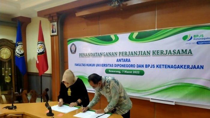 Mahasiswa Magang Bisa Dapat Perlindungan BPJS Ketenagakerjaan, Begini Caranya - Tribunjateng.com