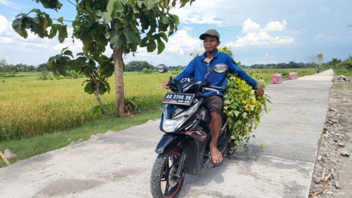 Saat Lewat Desa Gedongan Pencari Rumput Ini Kaget Jalan Berubah Jadi ...