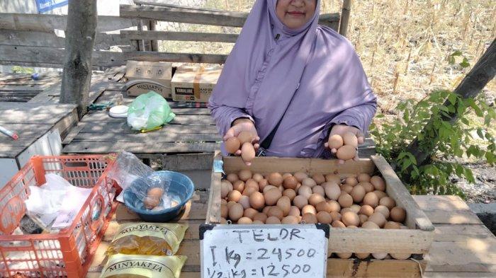 Penjualan Telur Ayam Blora Meningkat Imbas Harga Terus Menurun - Tribunjateng.com