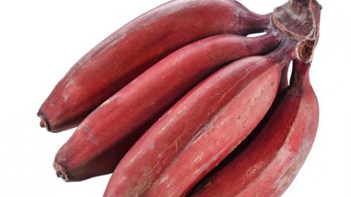 Anda Pernah Makan Pisang Merah? Ternyata Manfaatnya Luar Biasa ...