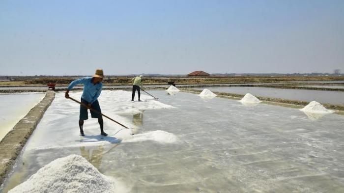 Yudi: Perlu Undang Malaysia untuk Berbagi Pengetahuan Kelola Garam ...