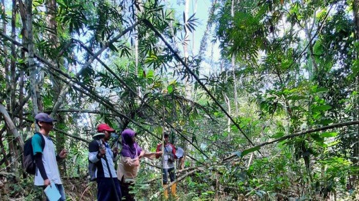 Proses Pengukuran Lahan Tanah Tahap ke-2 di Desa Wadas Berlangsung Secara Transparansi ...