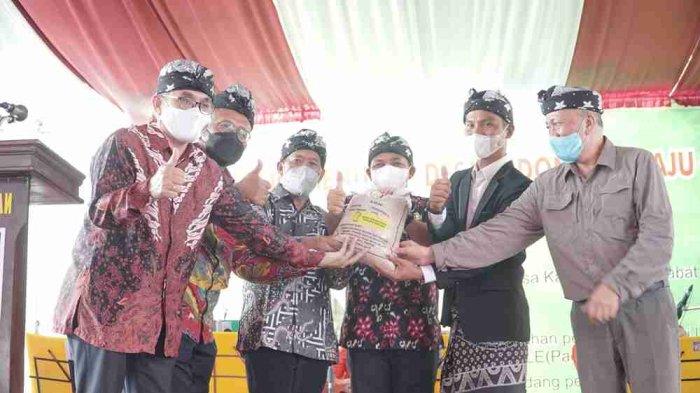 Dukung Program Swasembada Pangan, UKSW Salatiga Gandeng Kadirejo Tanam Kedelai - Tribunjateng.com