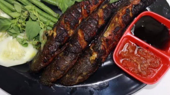 Resep Lele Bakar Nikmat dan Mudah Buatnya - Tribunjateng.com
