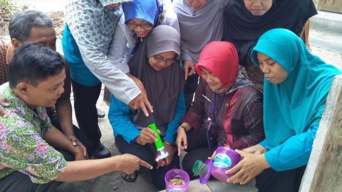 Cara Ovitrap Ini Dinilai Lebih Efektif Berantas Nyamuk Dibanding ...