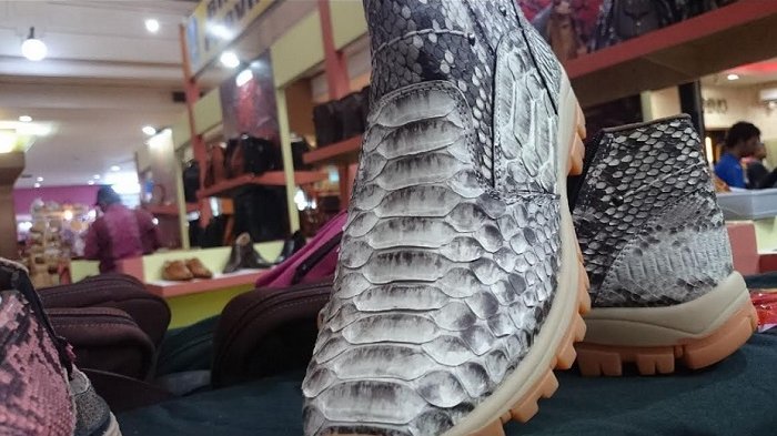 Tertarik Sepatu Kulit Buaya, Inilah Harga dan Tempatnya - Tribunjateng.com