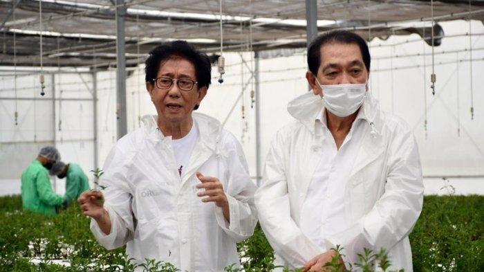Bos Sido Muncul Cek Tanaman Rempah di Green House Pabrik Semarang ...