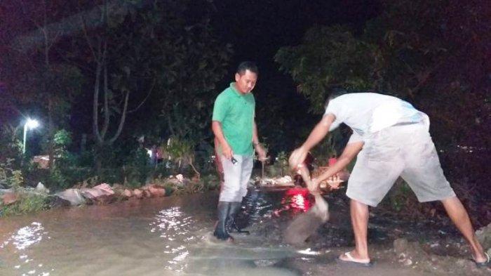 BREAKING NEWS: Sungai Dombo Sayung Demak Meluap Malam Ini, 25 Rumah Warga Terendam ...