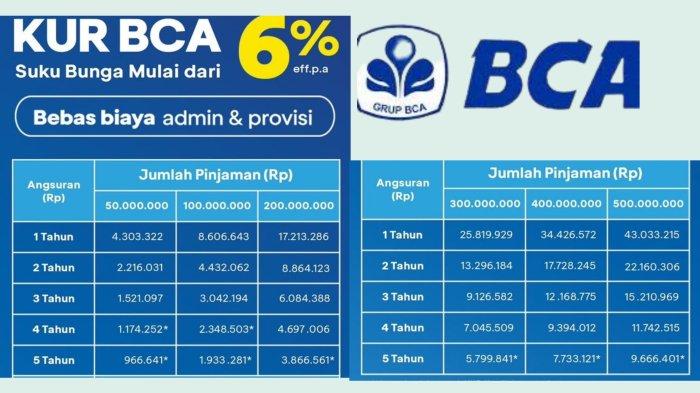 Simulasi Pinjaman KUR BCA Pinjaman Rp 100 Juta - Tribunjateng.com