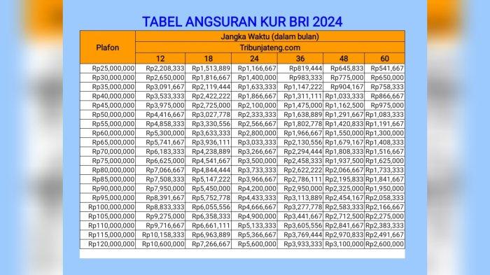 Tabel Angsuran KUR BRI 2024, Pinjam Rp 50 Juta Cicilan Mulai Rp 1 Juta Tenor 5 Tahun ...