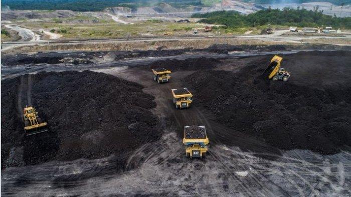 Harga Batu Bara di Pasar Global Melambung, PLN Wajib Beli Sesuai Harga ... Harga Batu Bara di Pasar Global Melambung, PLN Wajib Beli Sesuai Harga ...