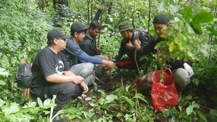 Hari Pers Nasional 2025: PWI Kudus Gandeng Pegiat Konservasi Alam Tanam ...