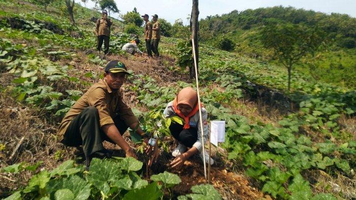Target DLHK Jateng: 3 Tahun Lagi, Bisa Pulihkan Semua Lahan Kritis - Tribunjateng.com