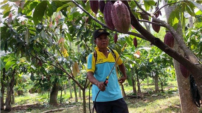 Tingkatkan Produktivitas, Dispaperta Batang dan UGM Fasilitasi ...