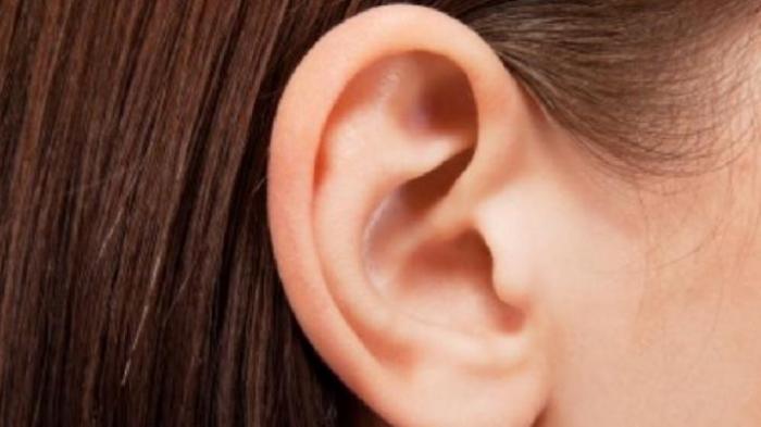 Viral Telinga Wanita Kemasukan Ular Bikin Netizen Ngeri - Tribunjateng.com