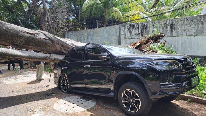 Pohon Besar Tumbang Timpa Mobil Fortuner di Depan Rumah Prabowo - Tribunjateng.com