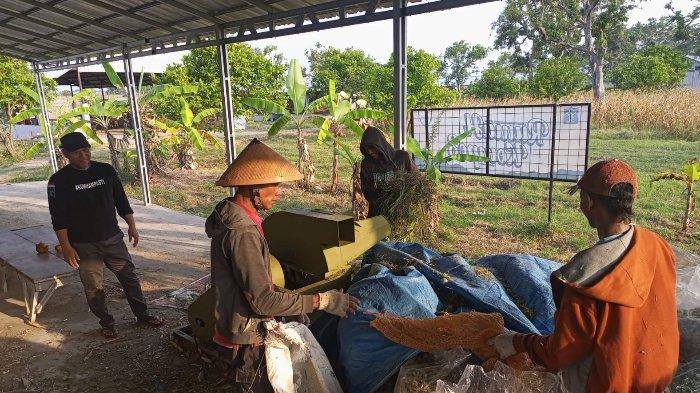 Sukses Ujicoba, Tebon Jagung Chopper Hasil Inovasi LPT Kendal Siap ...
