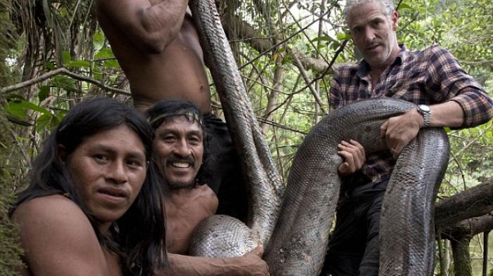 BERITA FOTO: Ini Proses Penangkapan Ular Terpanjang di Dunia ...