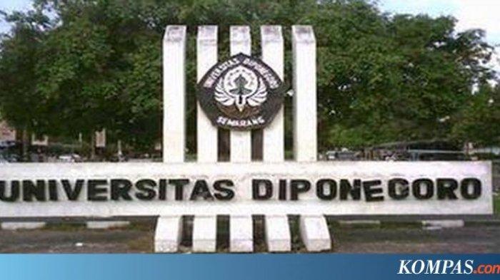 TERKINI: 9 Peringkat Universitas Indonesia di Ranking Dunia, Undip ...