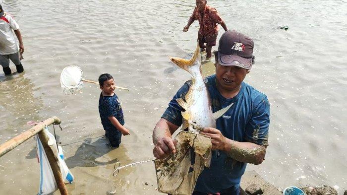 Kemeriahan HUT Ke-77 RI, Ratusan Orang Berburu Ikan di Embung Ngasinan ...