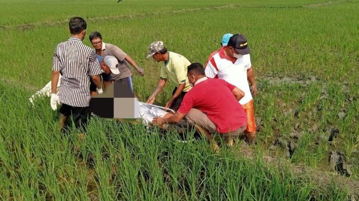 Penjelasan AKP Catur Soal Penemuan Mayat dengan Organ Tubuh Tak Utuh di ... Penjelasan AKP Catur Soal Penemuan Mayat dengan Organ Tubuh Tak Utuh di ...