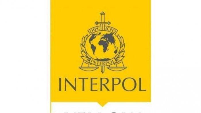 Apa Itu Yellow Notice? Permintaan Kepada Interpol Swiss Guna Bantu ...