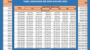 Pinjam KUR BRI Rp 50 Juta Cicilan Terkecil Rp 1,1 Juta 5 Tahun, Terbesar Rp 4,4 Juta 1 Tahun ...