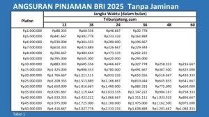 Tabel Pinjaman KUR BRI 31 Januari 2025 Brosur Angsuran Lengkap Sampai ...