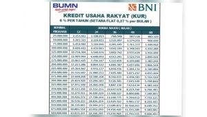 Tabel Cicilan KUR BNI 2025, dari Rp 10 Juta- Rp 300 Juta, Bunga Pinjaman Rendah, Berikut ...