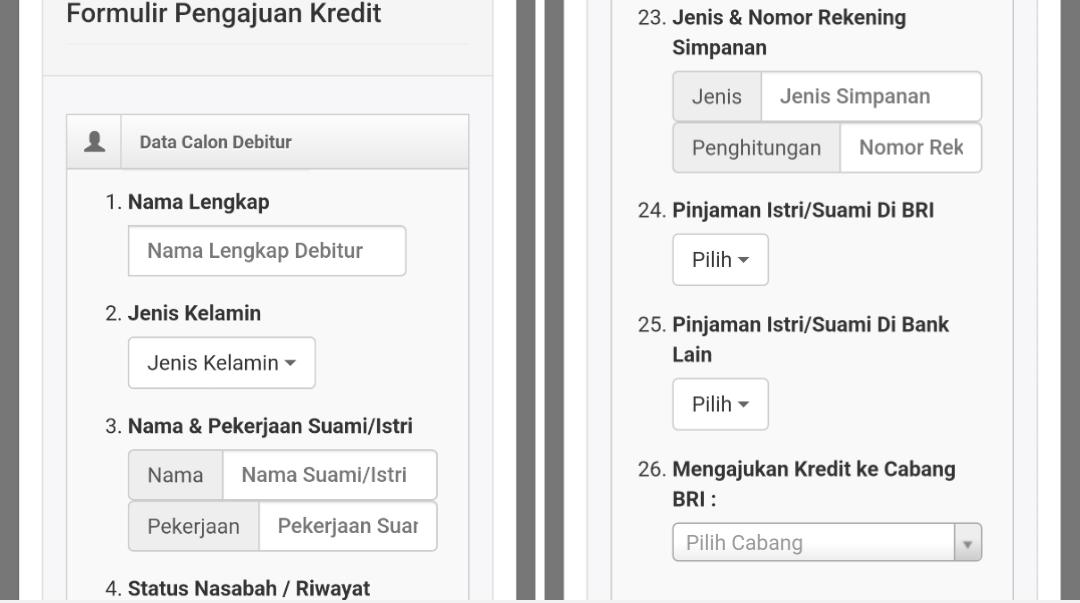 Cara Menggunakan Pinjaman BRI Online, Isi Form Di Sini - Halaman all ...