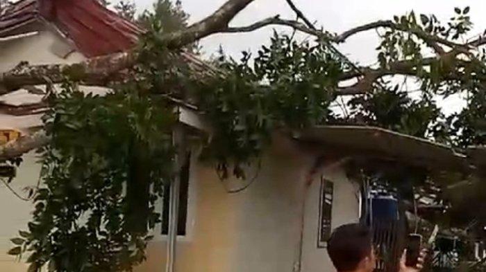 Hujan Disertai Angin Kencang Tumbangkan Pohon Timpa 2 Rumah di Hunian Relokasi Semeru Lumajang ...