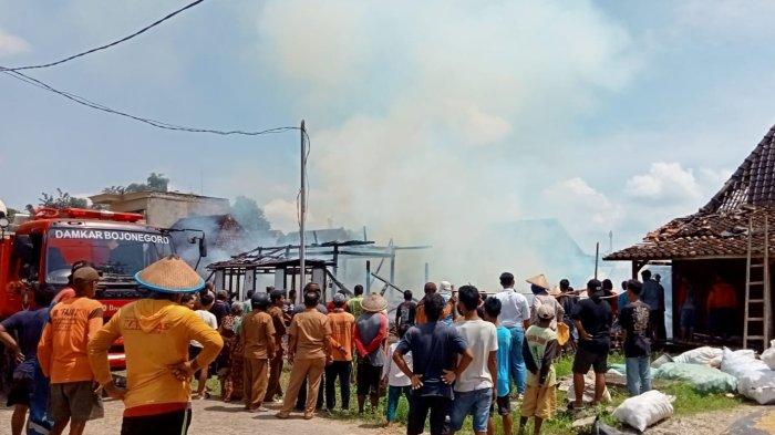 Empat Rumah Seisinya dan Seekor Sapi di Bojonegoro Terbakar, Kerugian Ditaksir Rp 250 Juta ...