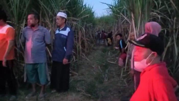 Seminggu Hilang, Kakek Pencari Rumput di Situbondo Ditemukan Membusuk ...