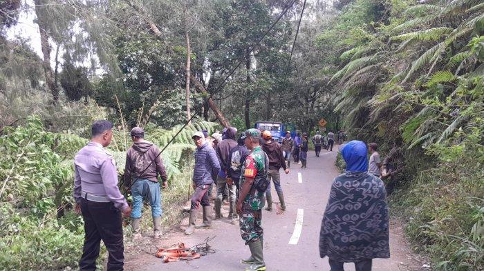 Diduga Sopir Mengantuk, Pikap L300 Terjun Bebas ke Jurang di Senduro ... Diduga Sopir Mengantuk, Pikap L300 Terjun Bebas ke Jurang di Senduro ...