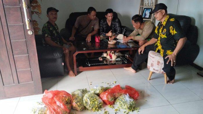 Pria Banyuwangi Curi Cabai Tetangga saat Harga Meroket, Berakhir ...