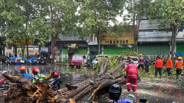 Hujan Disertai Angin Kencang Sebabkan Pohon Tumbang di Bondowoso, Timpa Mobil dan Sepeda Motor ...